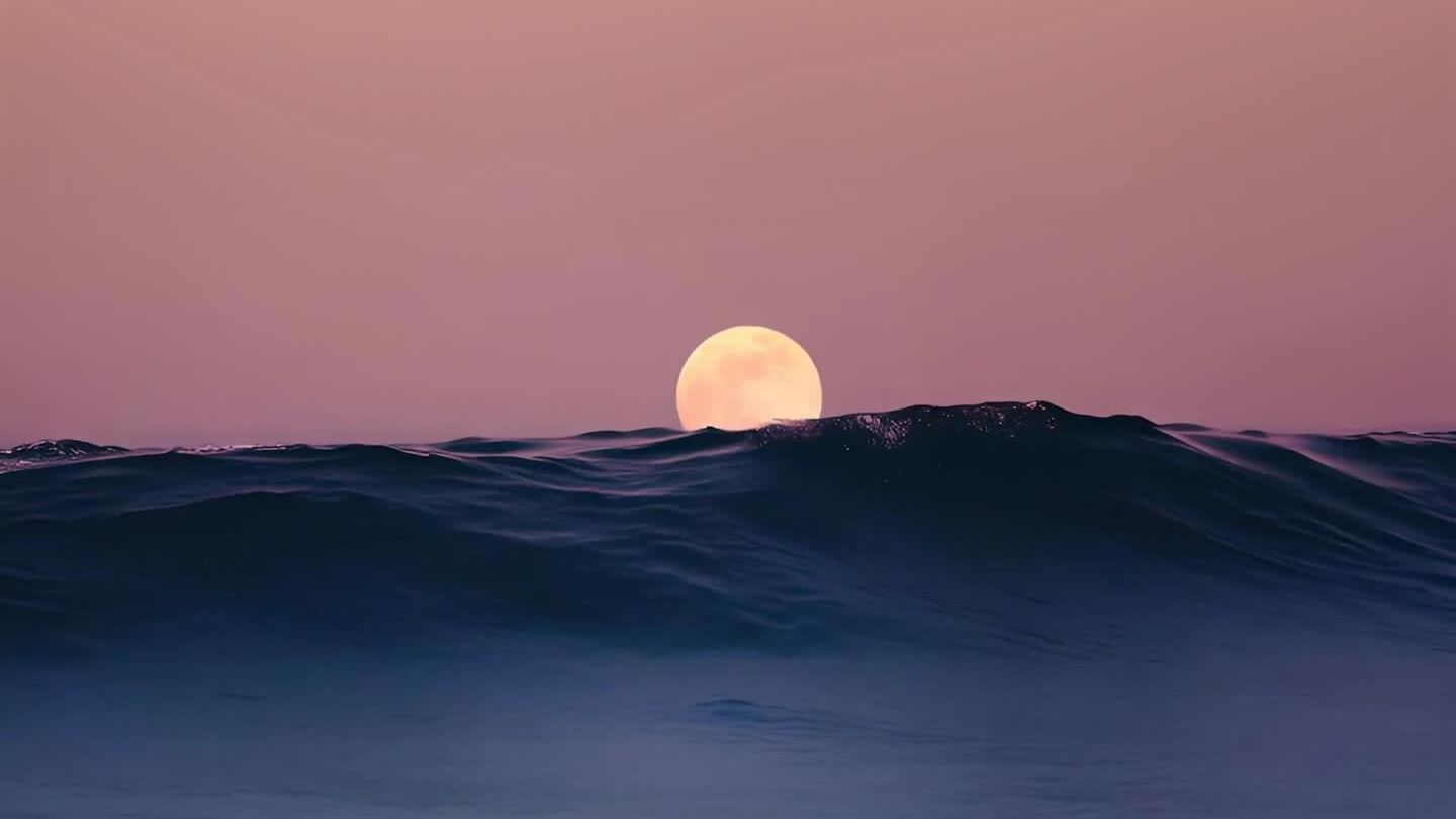 Max Deep Flow - When the Lights Fade Desert Rock2