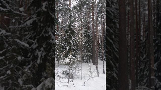 №104 Чистка многомерной структуры