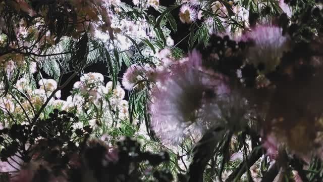 "Верить в чудеса или нет?" - свободный стих (верлибр).