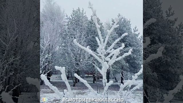 Кострома_Сказочная зима в Парке Победы.mp4