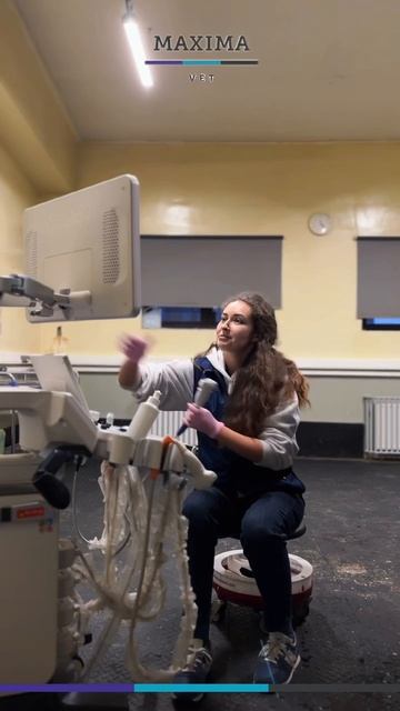 Подготовка к УЗИ конечностей лошади после операции в MAXIMA VET для контроля динамики восстановления