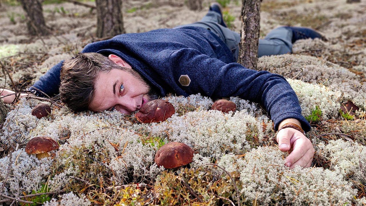 ГРИБЫ ИЗ СКАЗКИ | Я В ОБМОРОКЕ ОТ ГРИБОВ БОРОВИКОВ