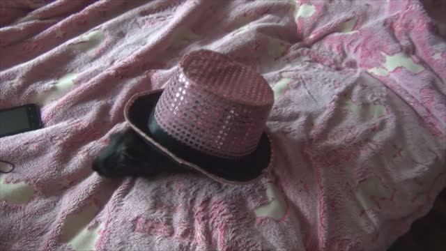 2023 июнь Блэкки в шляпе