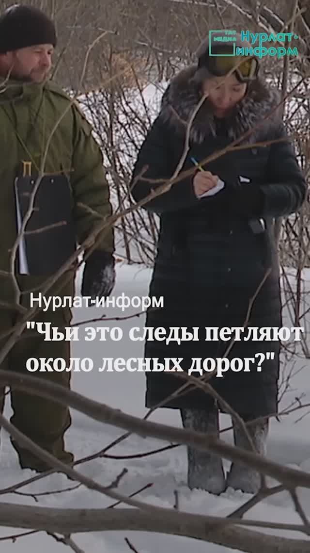 Не Маша и Медведь, а егеря на буранах