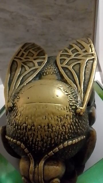 Шмель в дарвиновском музее