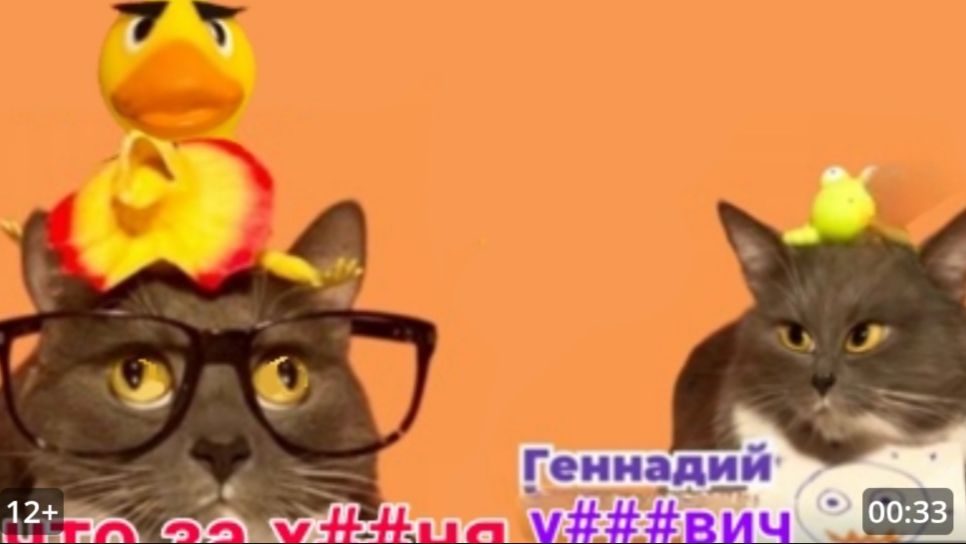 Котинет смешно смотреть онлайн 1 часть