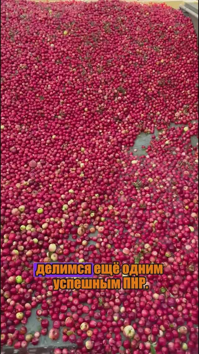 💥Вакуумные установки лучшие на рынке