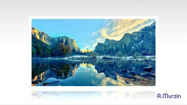 Fungus - The Inner World