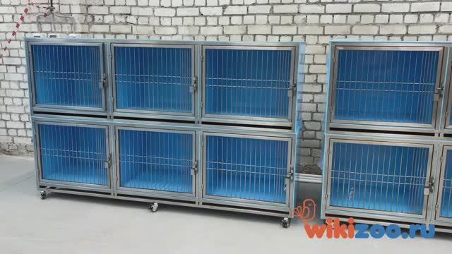 Модуль для ветеринарного стационара из 6 клеток