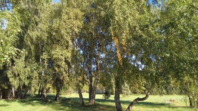 Ф.Мендельсон. Весенняя песня.