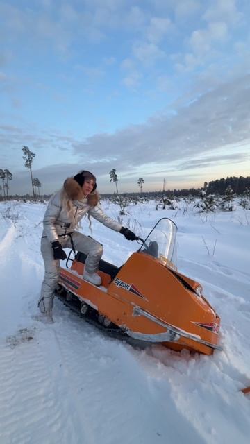 Девушка и снегоход это обезьяна с гранатой🤣🤣🤣 #снег #зима2026 #буран #перевернулись #прикол