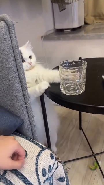 По рюмочке, по маленькой, налей-налей- налей!