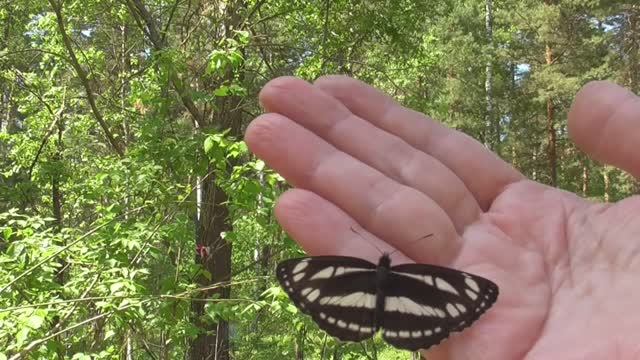 Хроника 2021 05