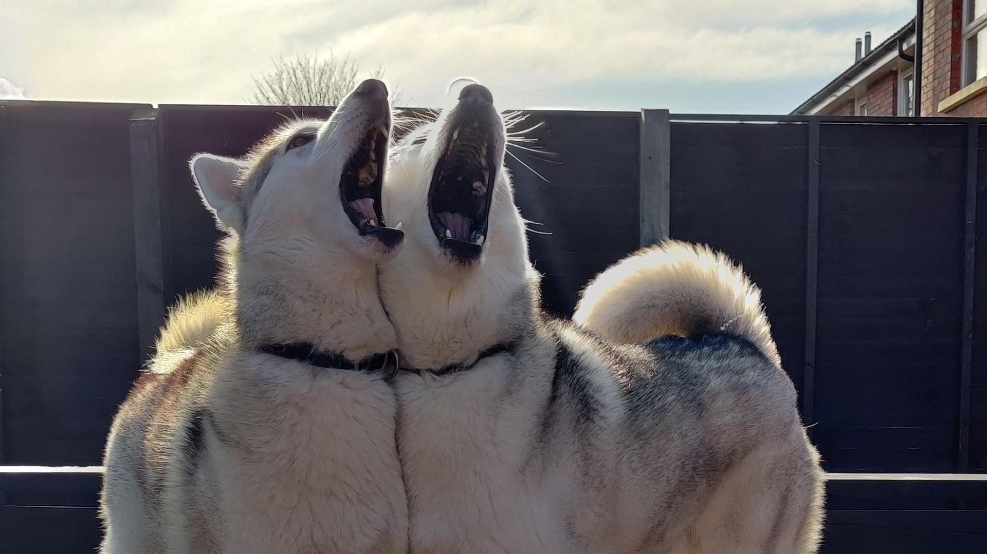 Душевный разговор