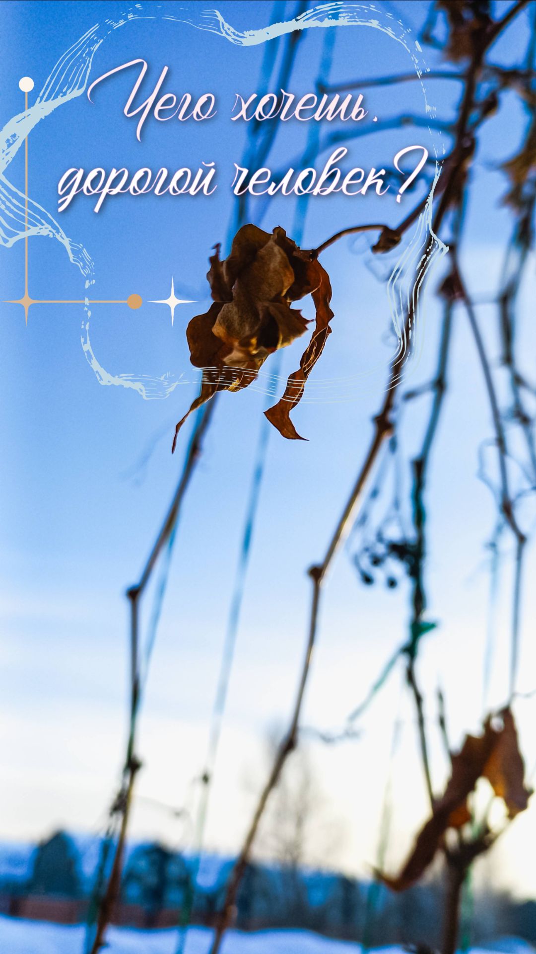 Чего хочешь, дорогой человек? #shorts