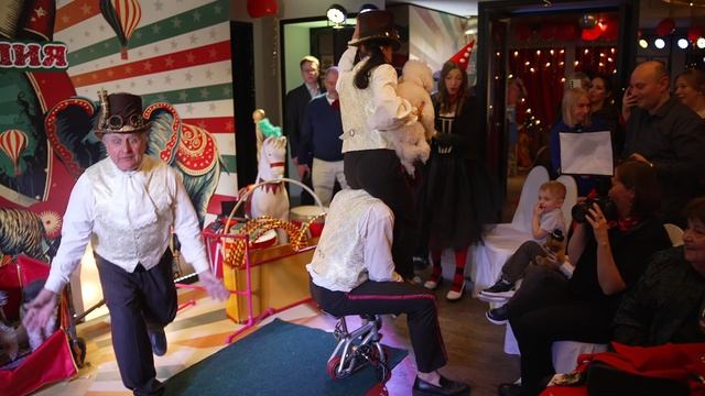 Шоу собачек