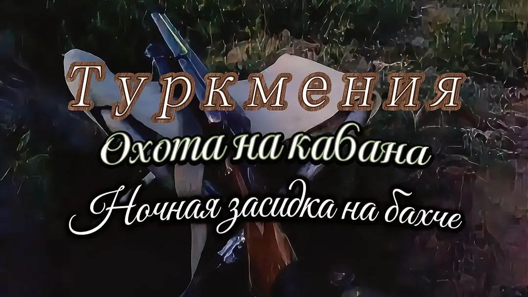 Туркмения. #охота_на_кабана #стая_шакалов_окружила