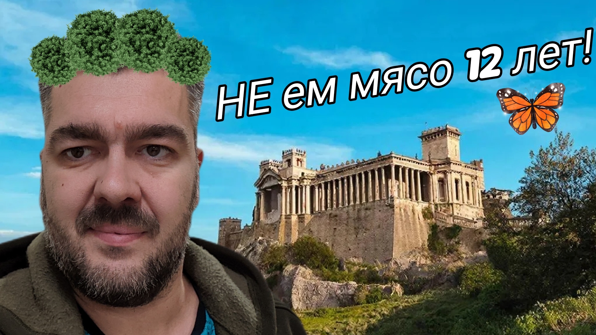 Почему я стал вегетарианцем. Почему я не ем мясо! / Арстайл 2 0 /