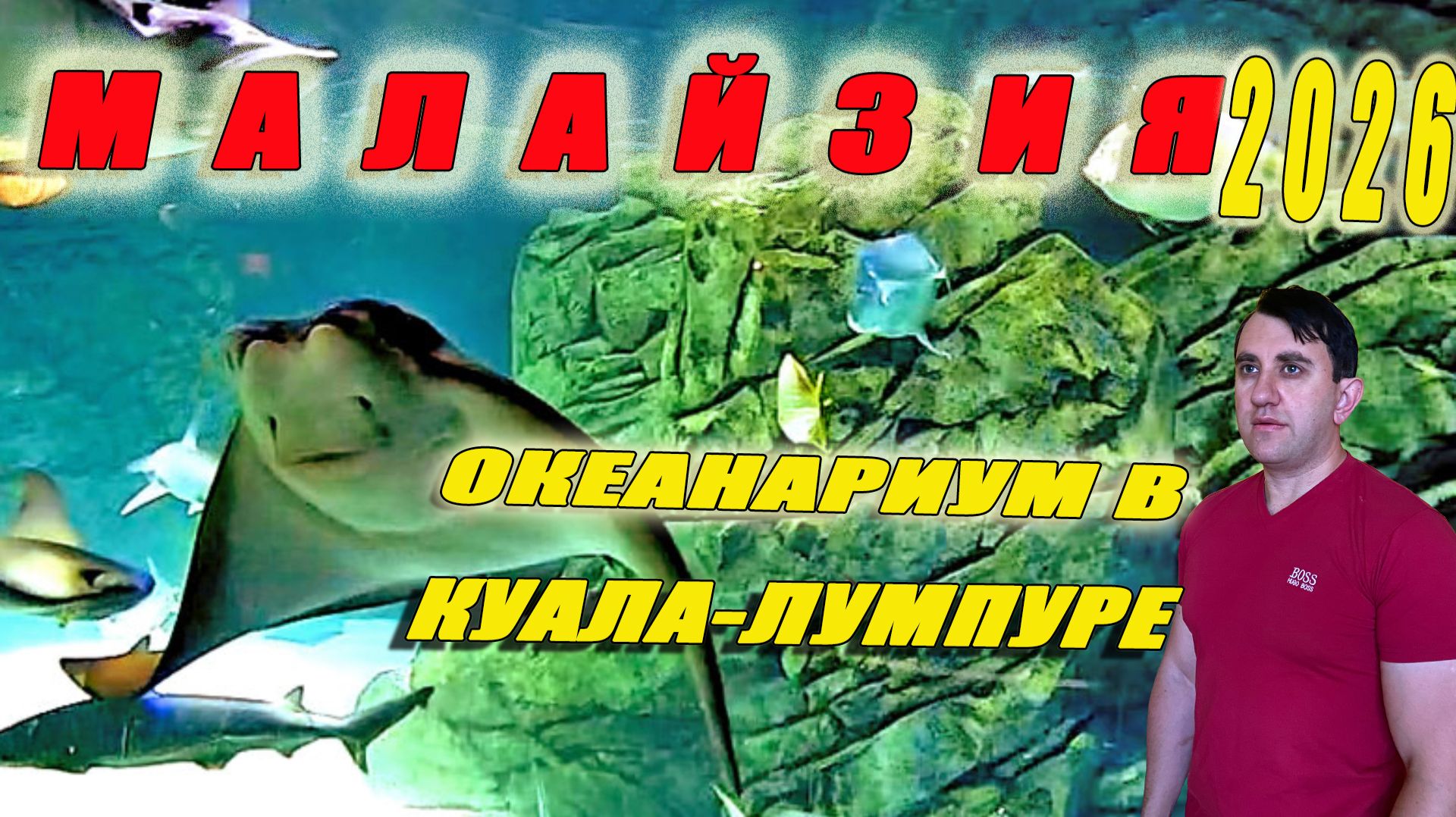 МАЛАЙЗИЯ 2026. ОГРОМНЫЙ ОКЕАНАРИУМ В КУАЛА-ЛУМПУРЕ. ЕДУ В ПЕЩЕРЫ БАТУ.