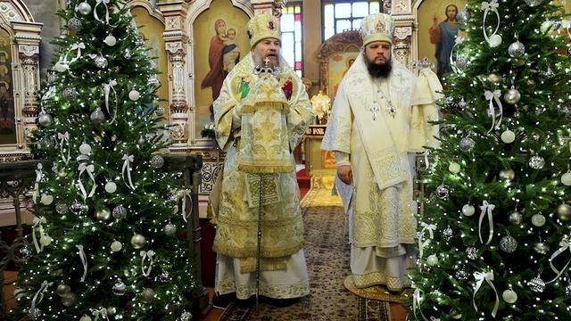 Проповедь митрополита Леонтия в храме в честь Рождества Христова пгт Анна