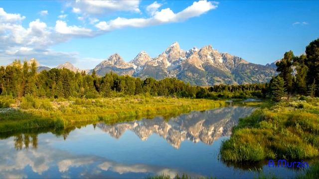 Fungus - The Inner World