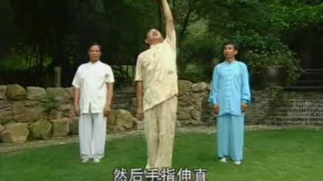 10 Обезьяна растягивает сухожилия Ли Чжэн