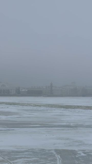 зимний туман в СПб.