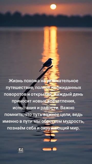 #мысли #цитаты #афоризмы #katyboro #видео #топ #врек #рекомендации