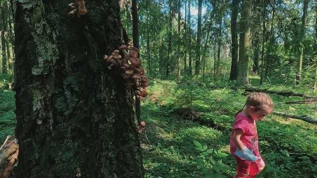 Ангелина идет за грибами 31 Августа 2025