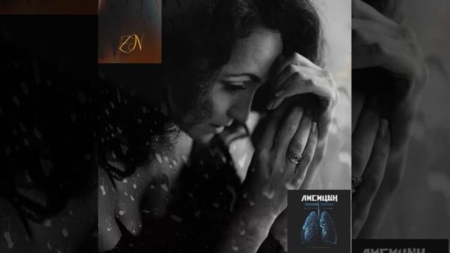 "По миллиметру" Лисицын 1000374711.mp4