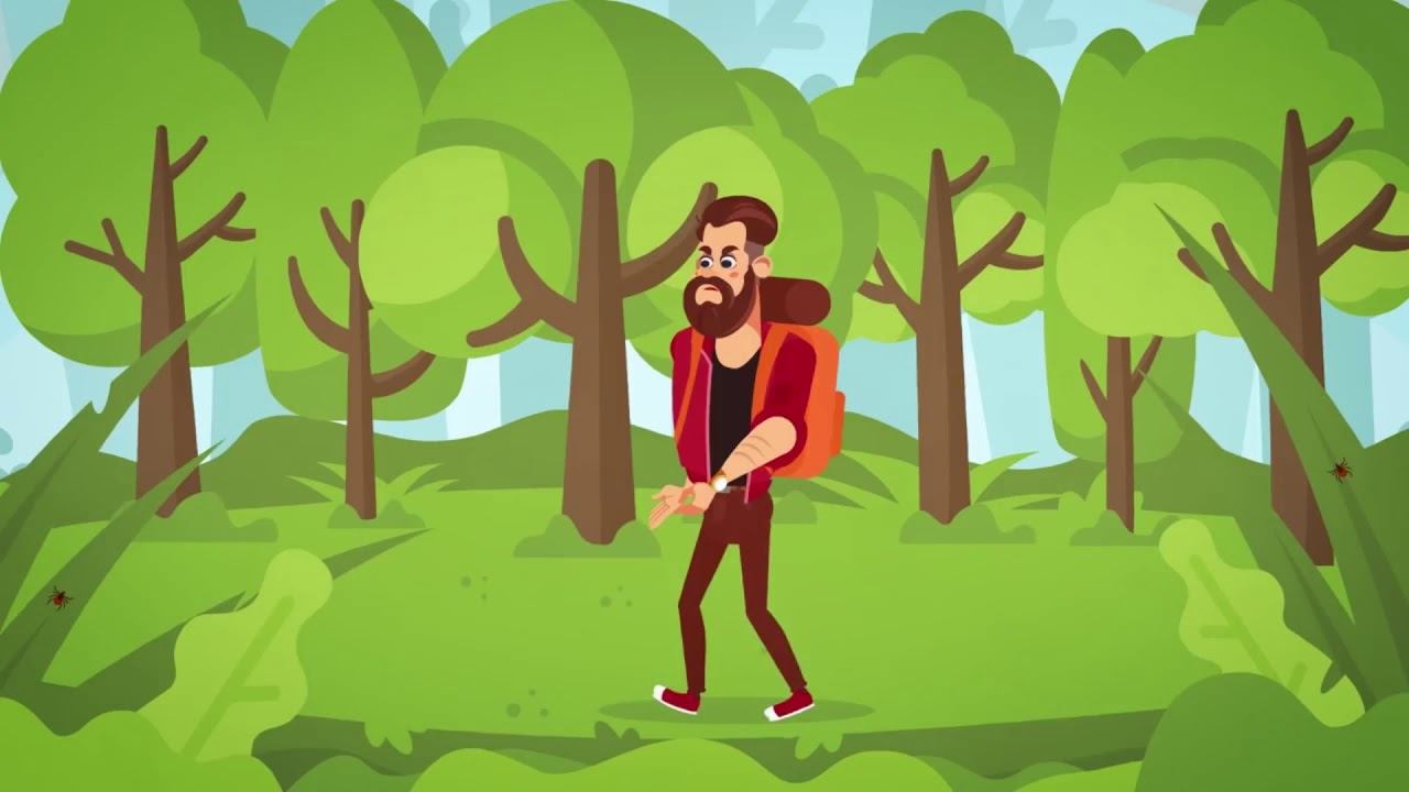 Студия VideoSfera — рекламные анимированные видеоролики