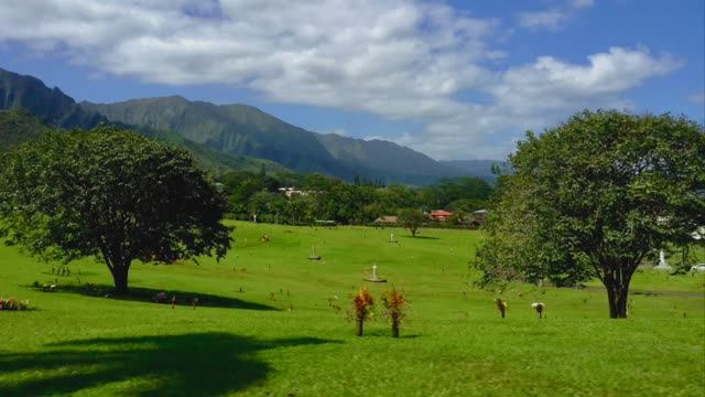 322. Биодо-Ин и Сансет-Бич, Гавайи, США