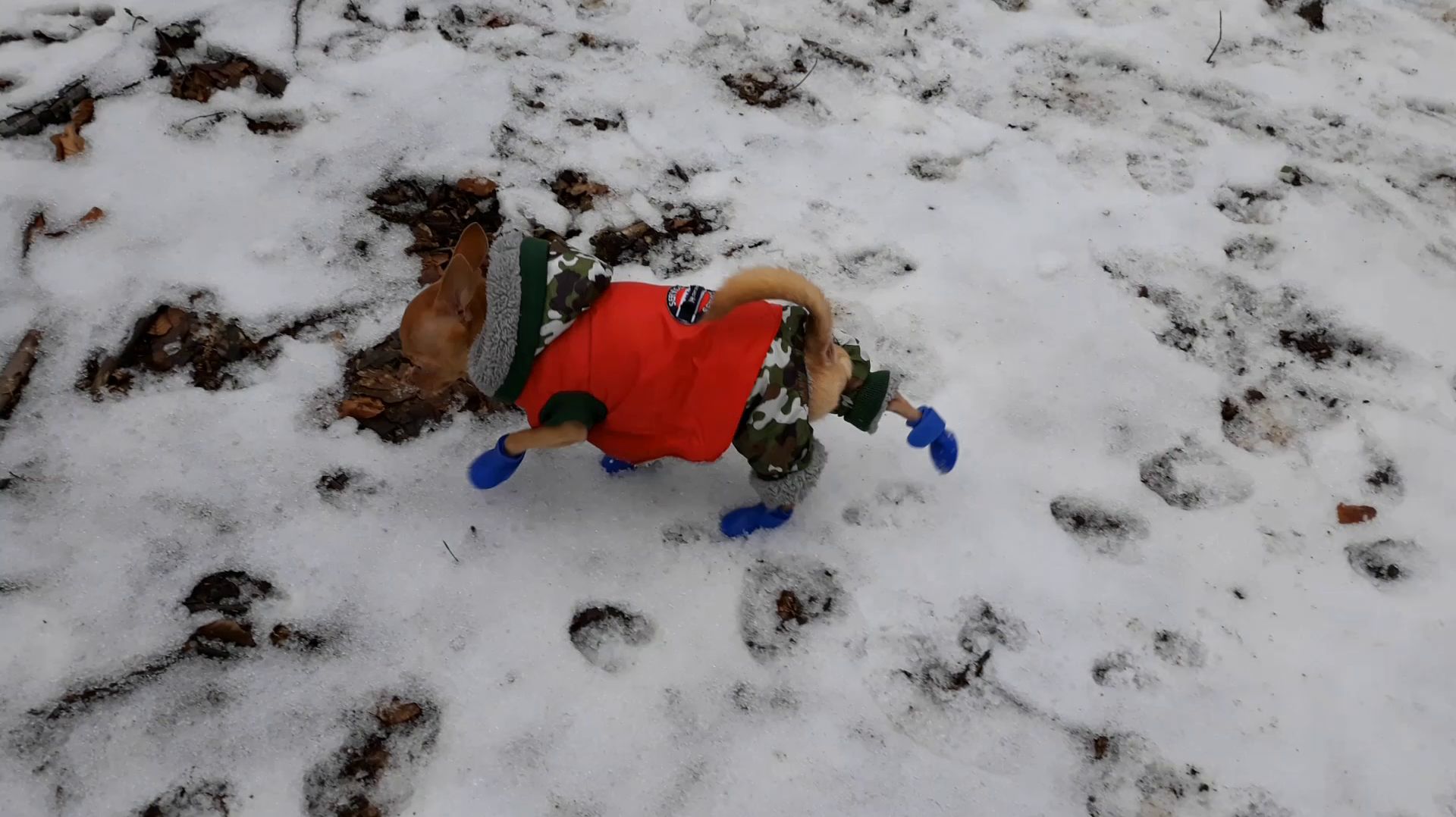 Высоко в горах