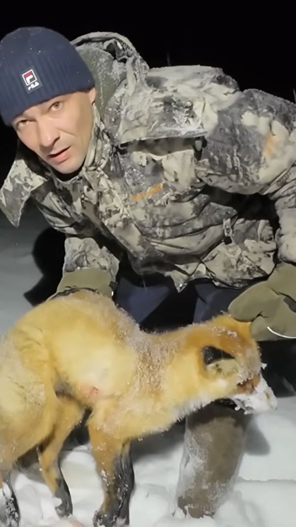 Охота на лису с тепловизором Artelv Electron 2.9x50 мм 640x512 LRF