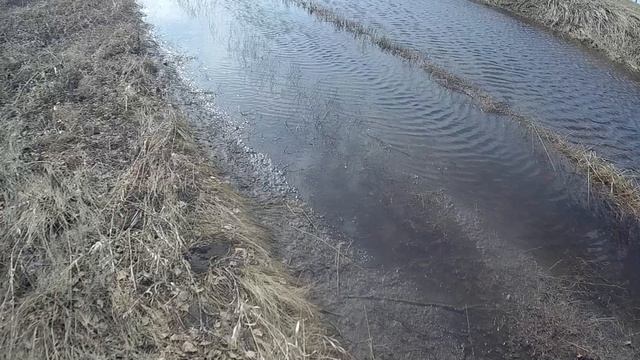 Новопреображенка деревня в Павлоградском районе Омской области/Novopreobrazhenka is a village