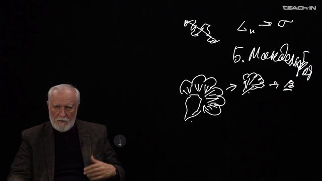 Буданов В.Г. - Концепции современного естествознания - 20. Синергетическое моделирование (ч.2)