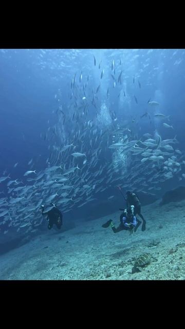 Opus 12 «Под водой». Музыкальная композиция Андрея Субботина