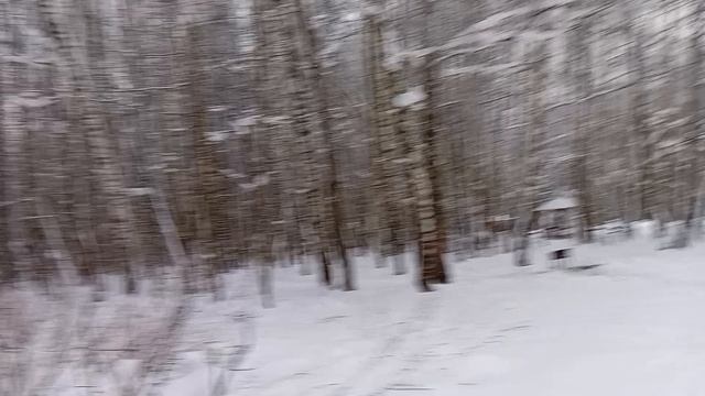 Пришла настоящая зима, красиво вокруг, шашлычная зона в снегу, вдалеке кто то жарит шашлыки