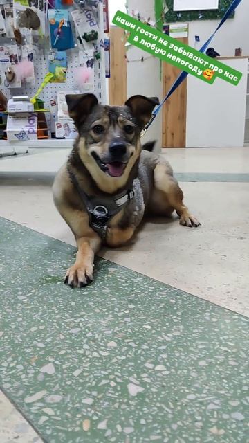 В Челябинске минус 32 🥶