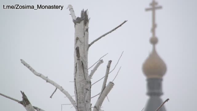 "Ты знаешь, смерти нет..."  Посвящается всем братиям и сестрам обители сия, отошедшим ко Господу.