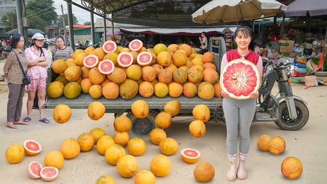Собираю красный помело и везу на трехколесном грузовике продавать на сельский рынок. Фуонг. Вьетнам
