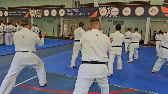 Блок ката. Сэйпай. Тренировку проводит Шихан - Богдановский Андрей Николаевич