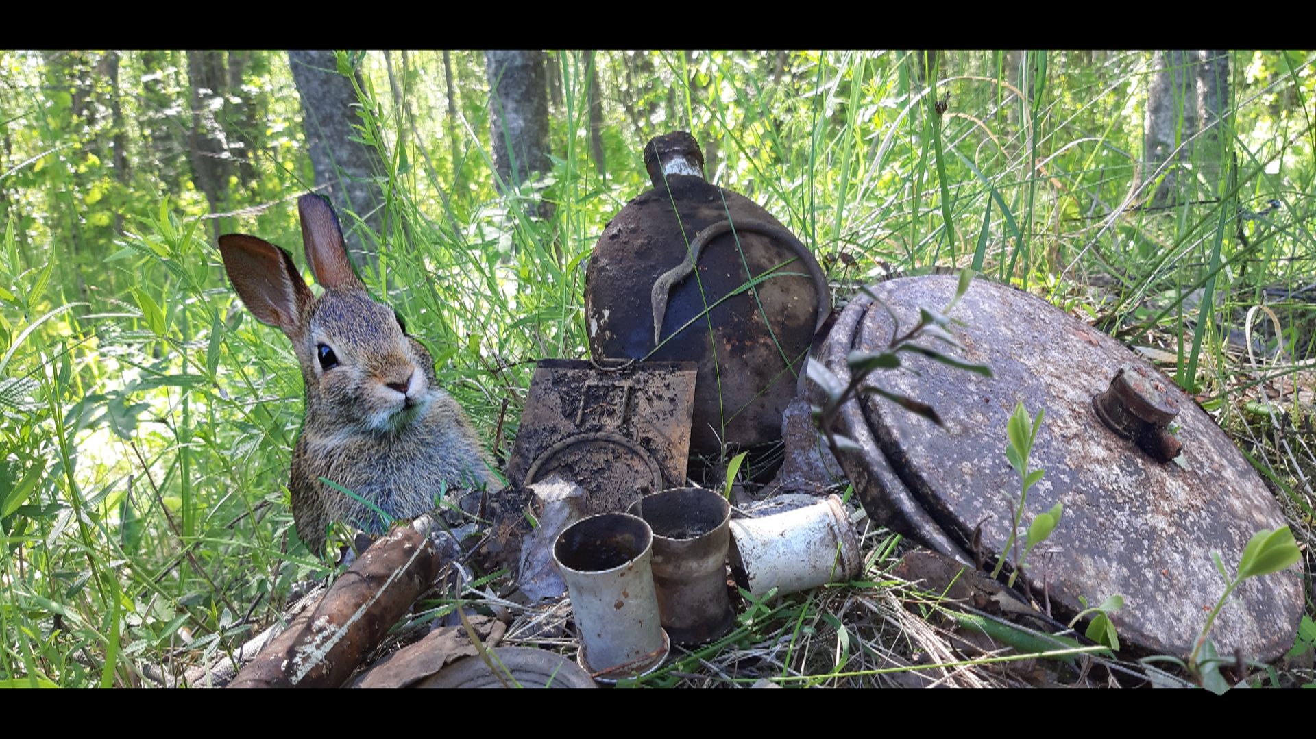 Коп по войне. Фильм 56. Военная археология.