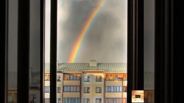 "Жёлтым-жёлтым"  Лисицын  1000374692.mp4