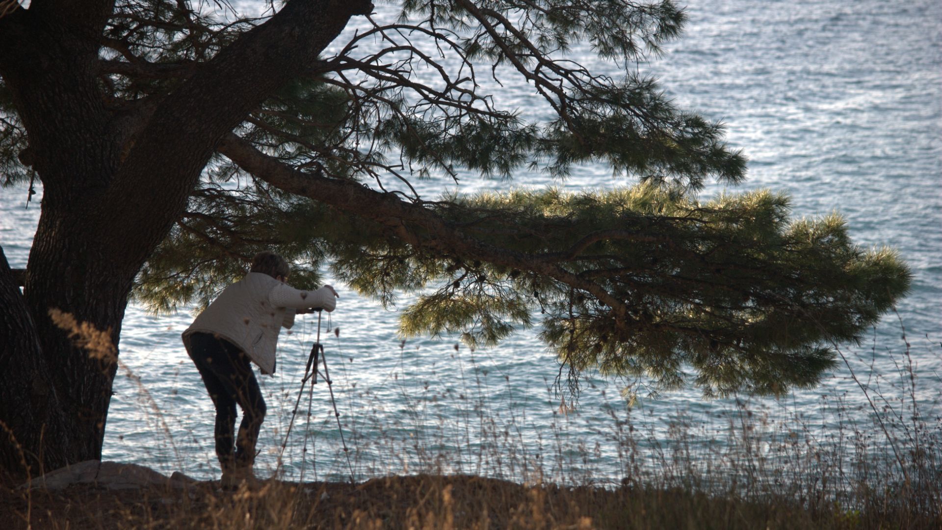 Ядранский путь