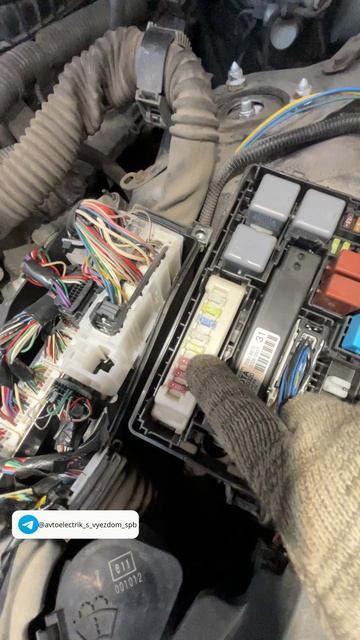 Volkswagen Tiguan - оживление.