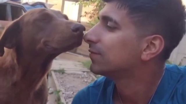 Счастливый песик