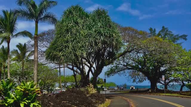 323. Хило, Гавайи, США