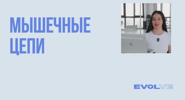 Мышечные цепи