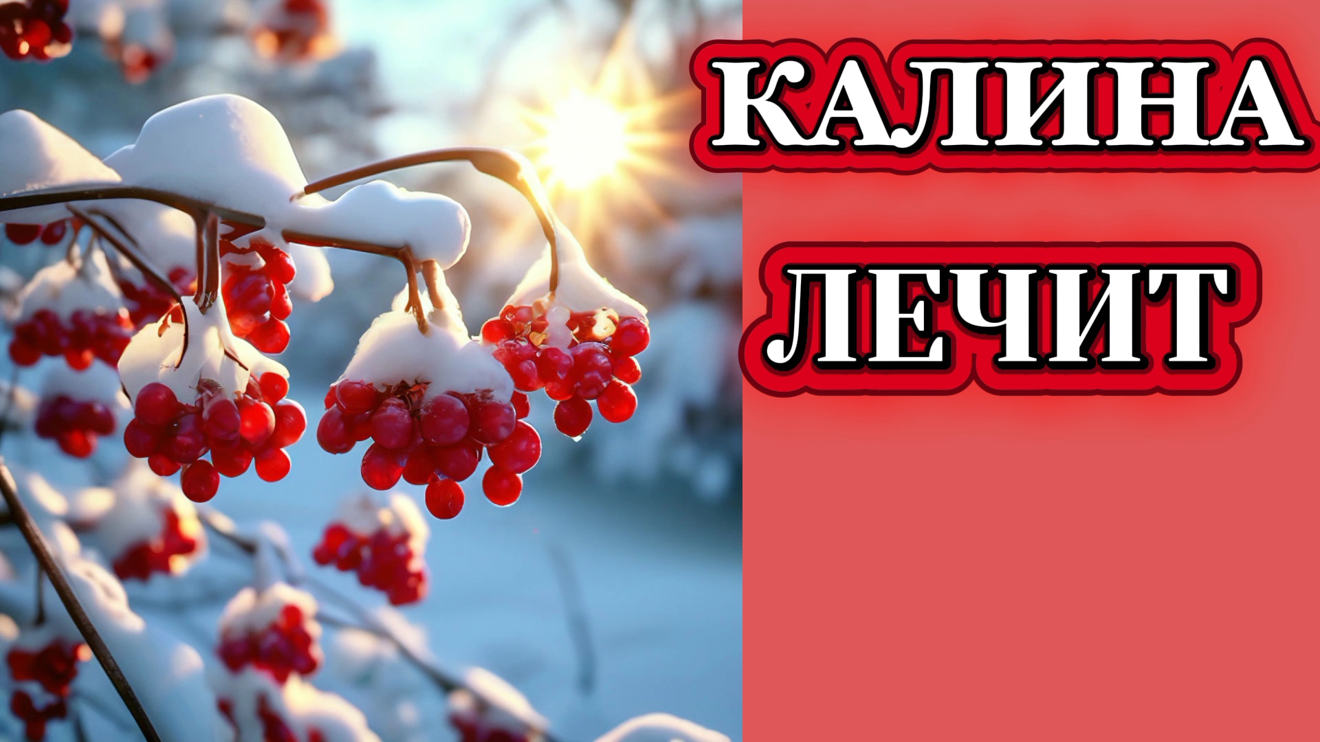 Хвалила себя КАЛИНА, что она с мёдом хороша.